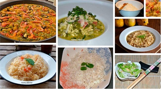 Técnicas de cocina para cocinar el arroz, conociendo el arroz.